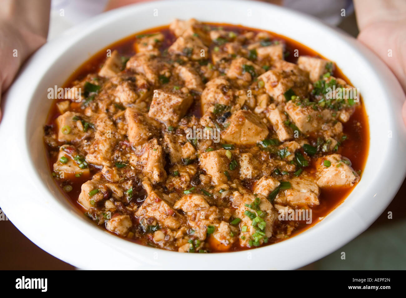 Mapo Doufu, a traditional and popular Sichuan dish made from tofu ...