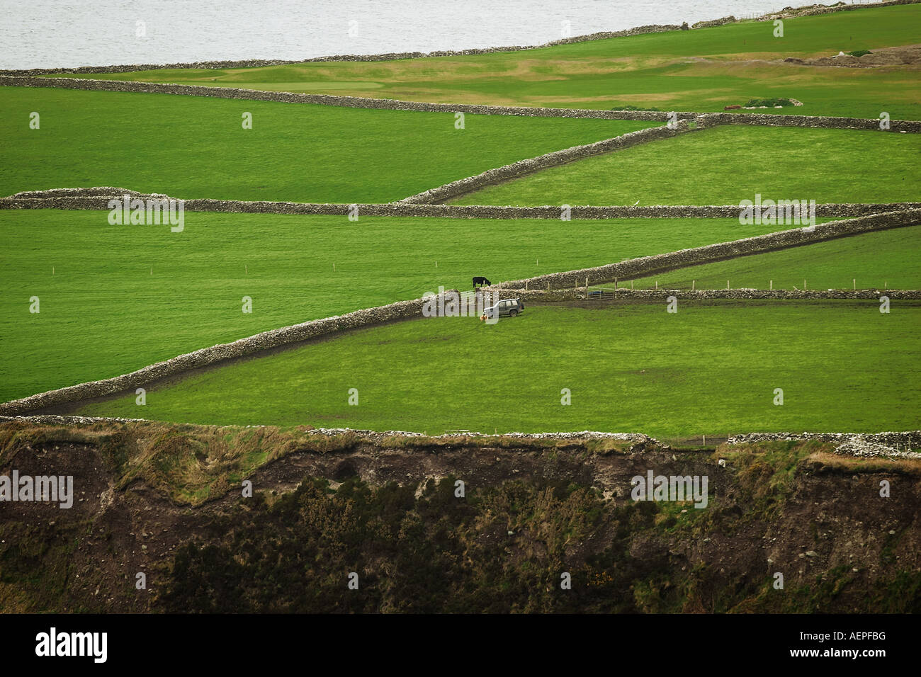 Farmland on Sea Ring of Kerry, County Kerry, Ireland Stock Photo - Alamy