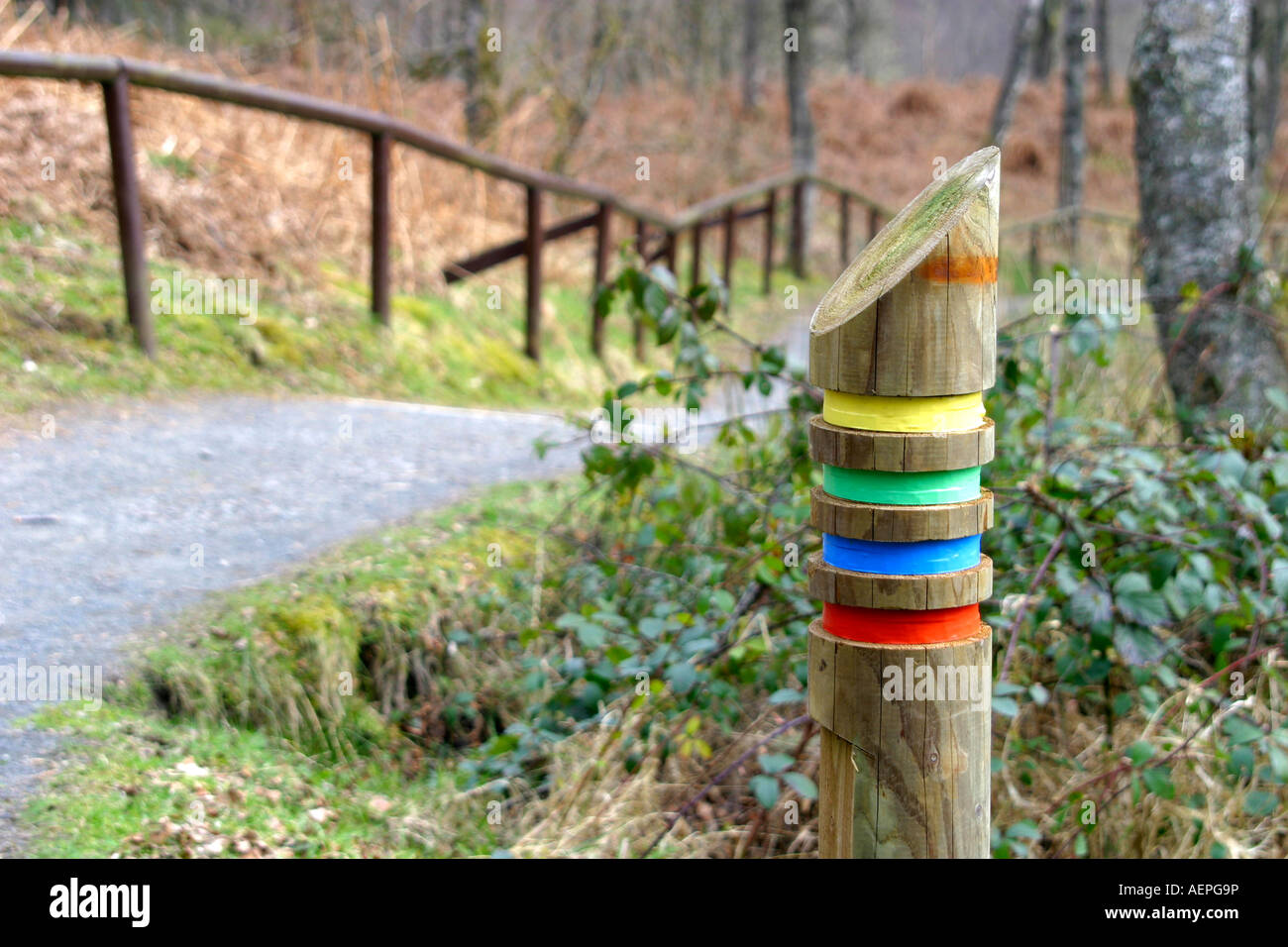 Forestry commission logo hi-res stock photography and images - Alamy