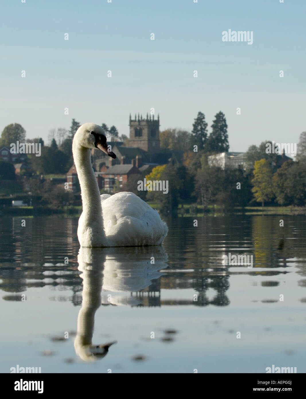 Ellesmere shropshire england hi-res stock photography and images - Alamy