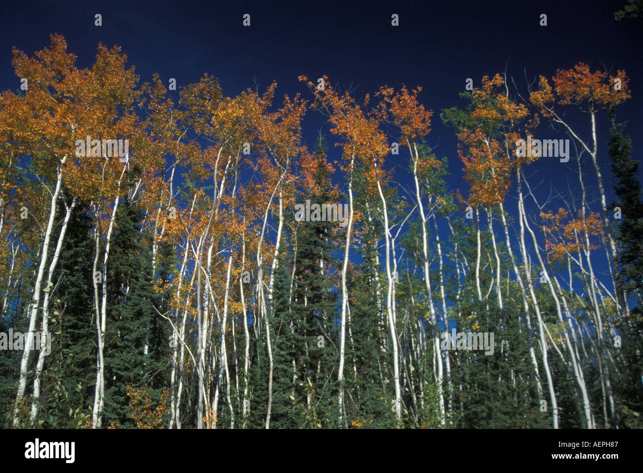 Southwestern alaska hi-res stock photography and images - Alamy