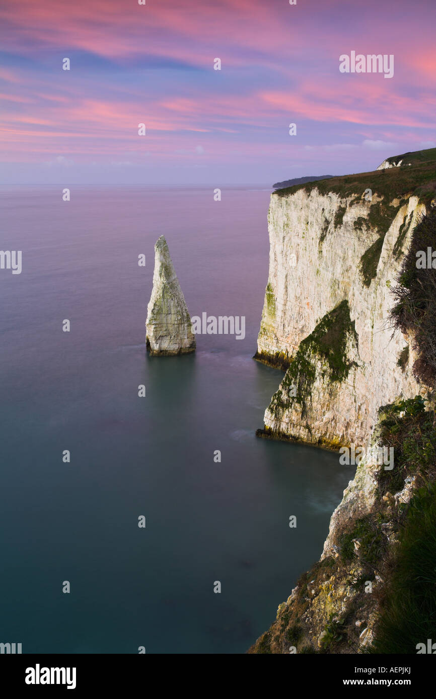The Pinnacles near to Old Harry Rocks on Ballard Down, Dorset Stock ...