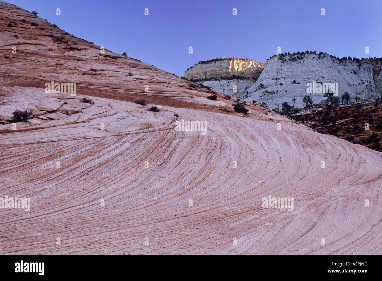 Sandstone formations, Zion National Park, Utah Stock Photo - Alamy