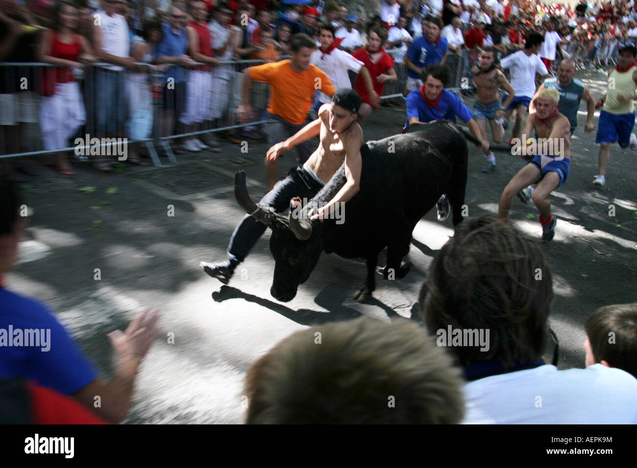 An annual bull running festival held in Ceret, a small town at the ...