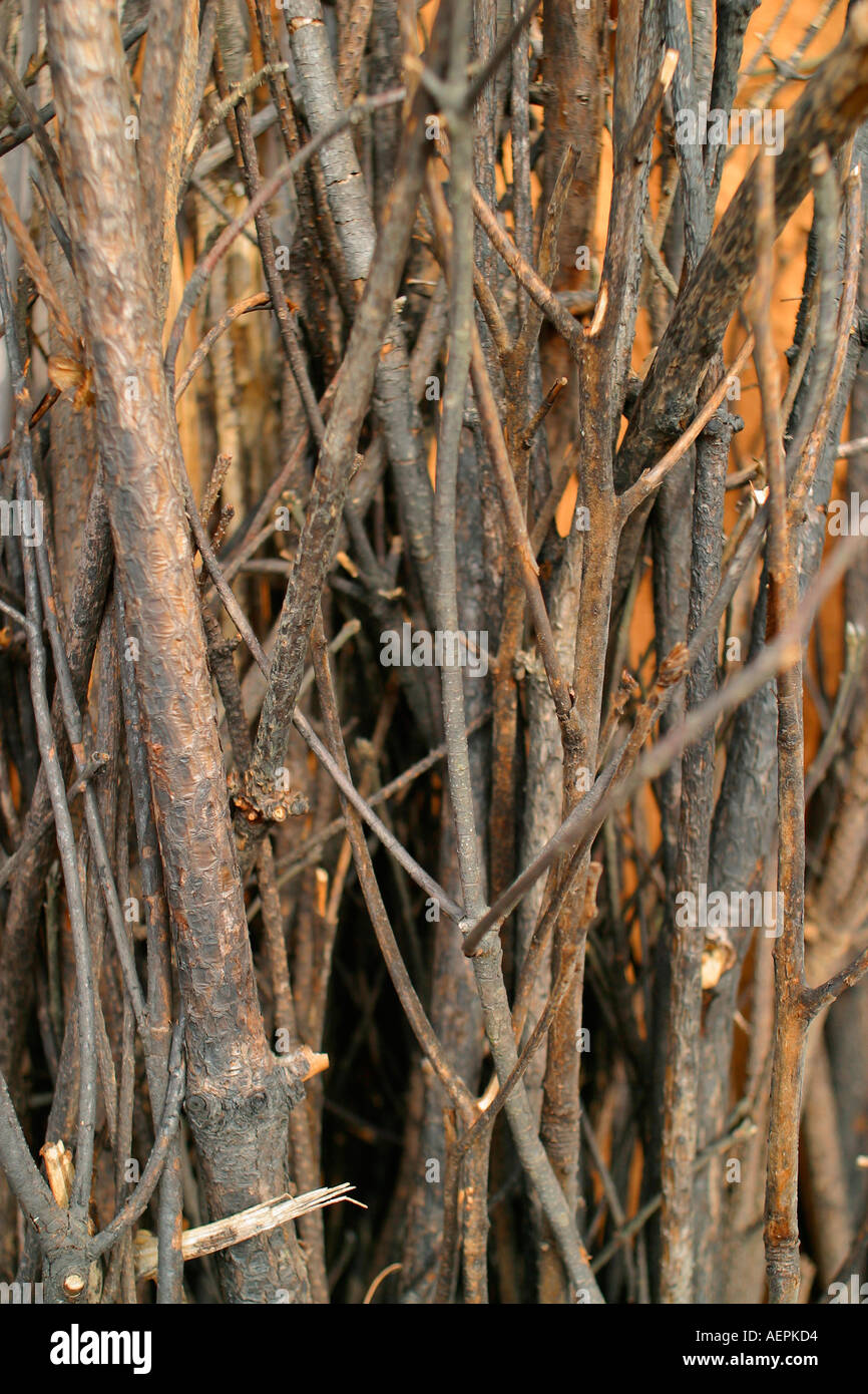 autumn vegetal background Stock Photo - Alamy