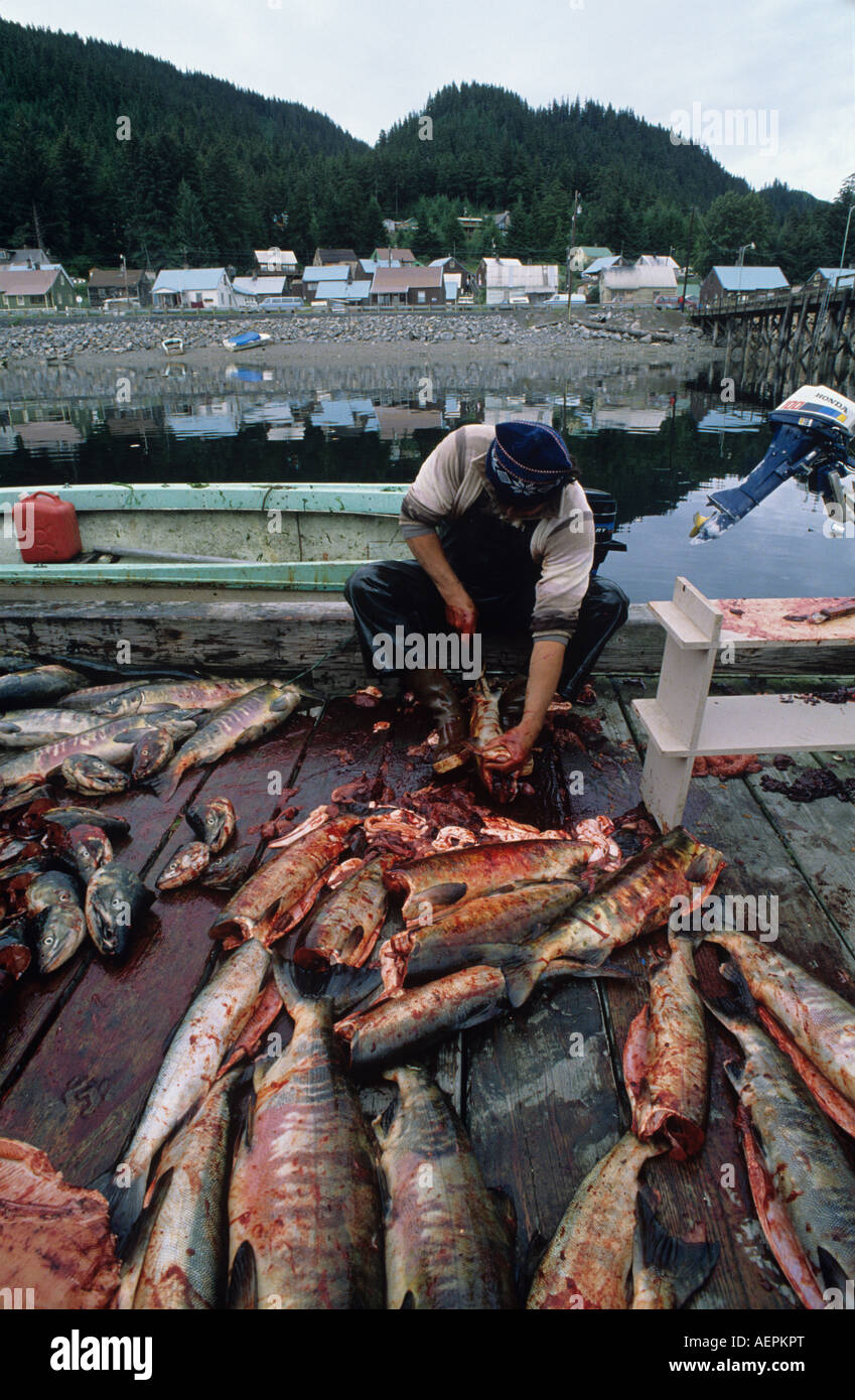 Hoonah salmon native hi-res stock photography and images - Alamy