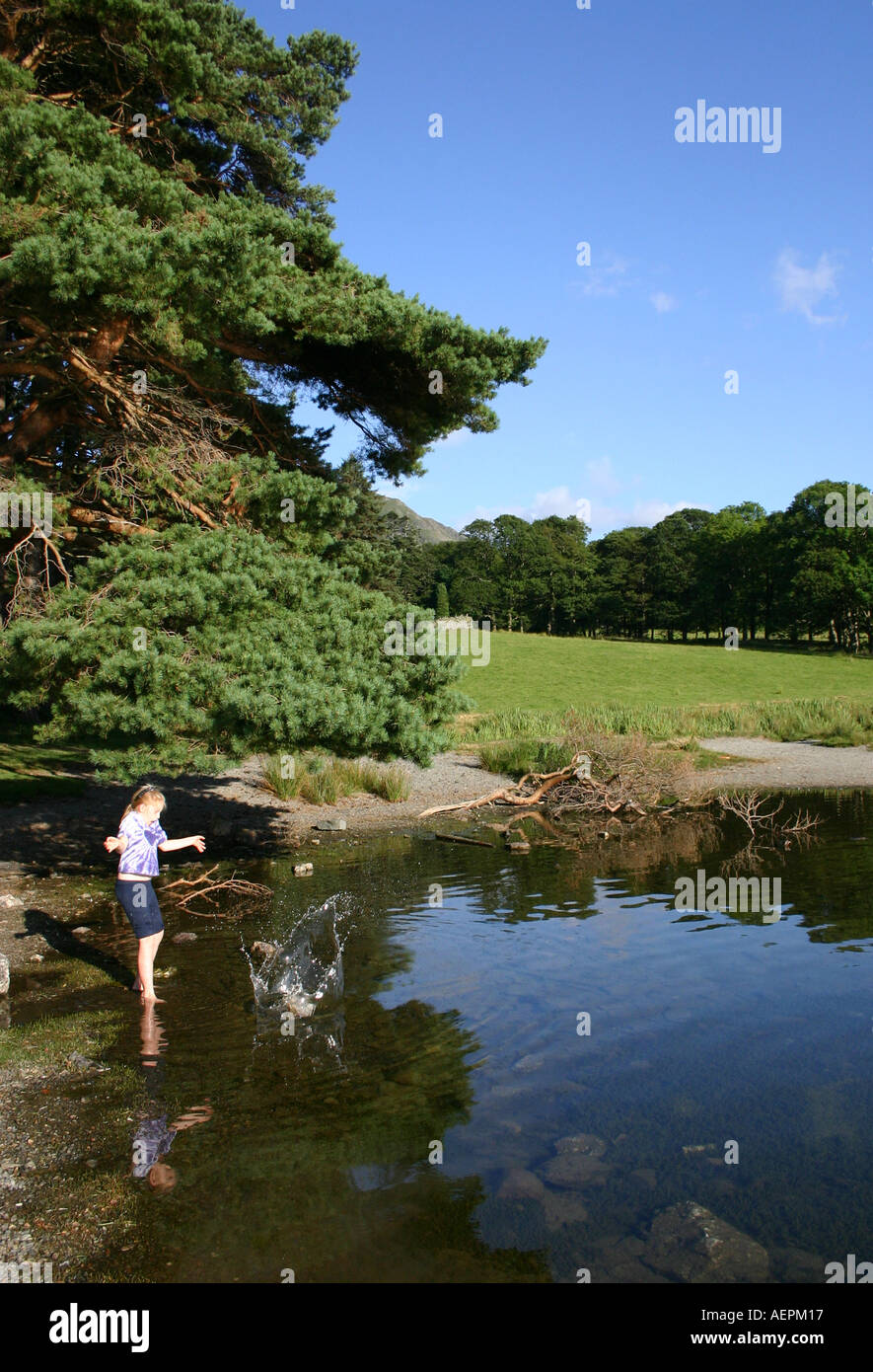 Throwing stone hi-res stock photography and images - Alamy