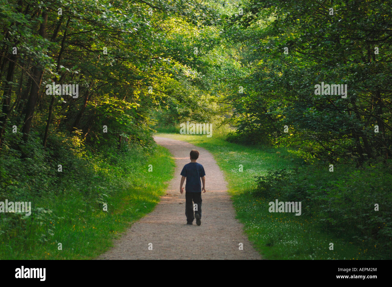 Boy Walking Along A Woodland Path Stock Photo - Alamy