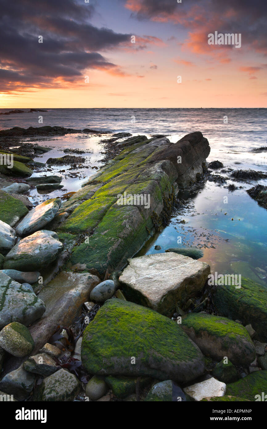 Rocky seaweed covered ledges at Peveril Point, Swanage Stock Photo - Alamy