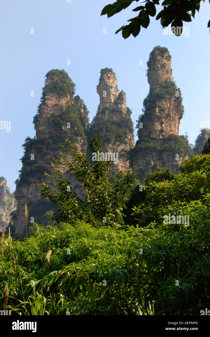 Limestone Rock formation out crop at first chinese national park at ...