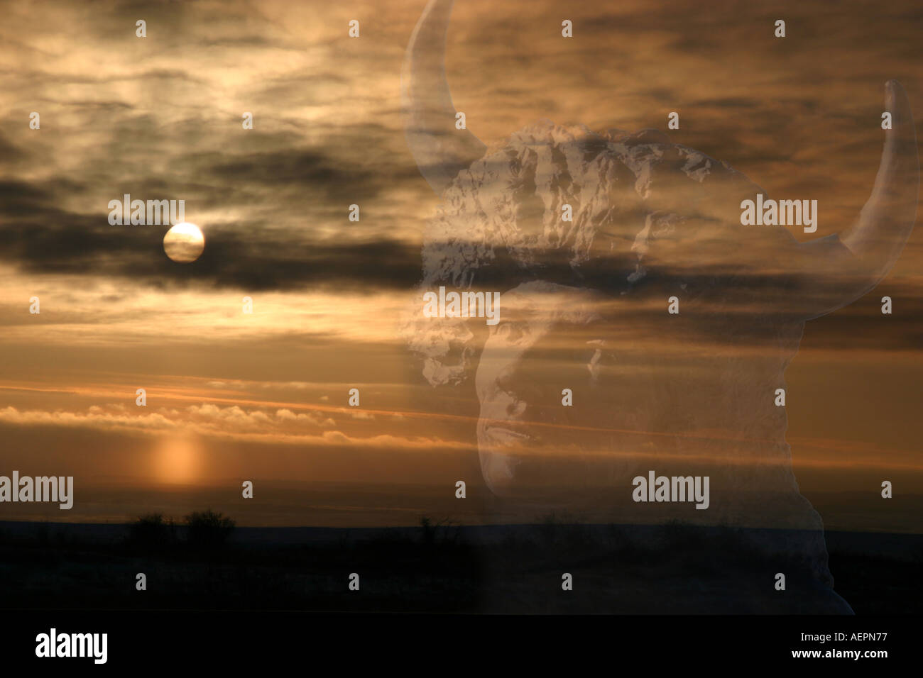 Sunset and Aboriginal Figure Stock Photo - Alamy