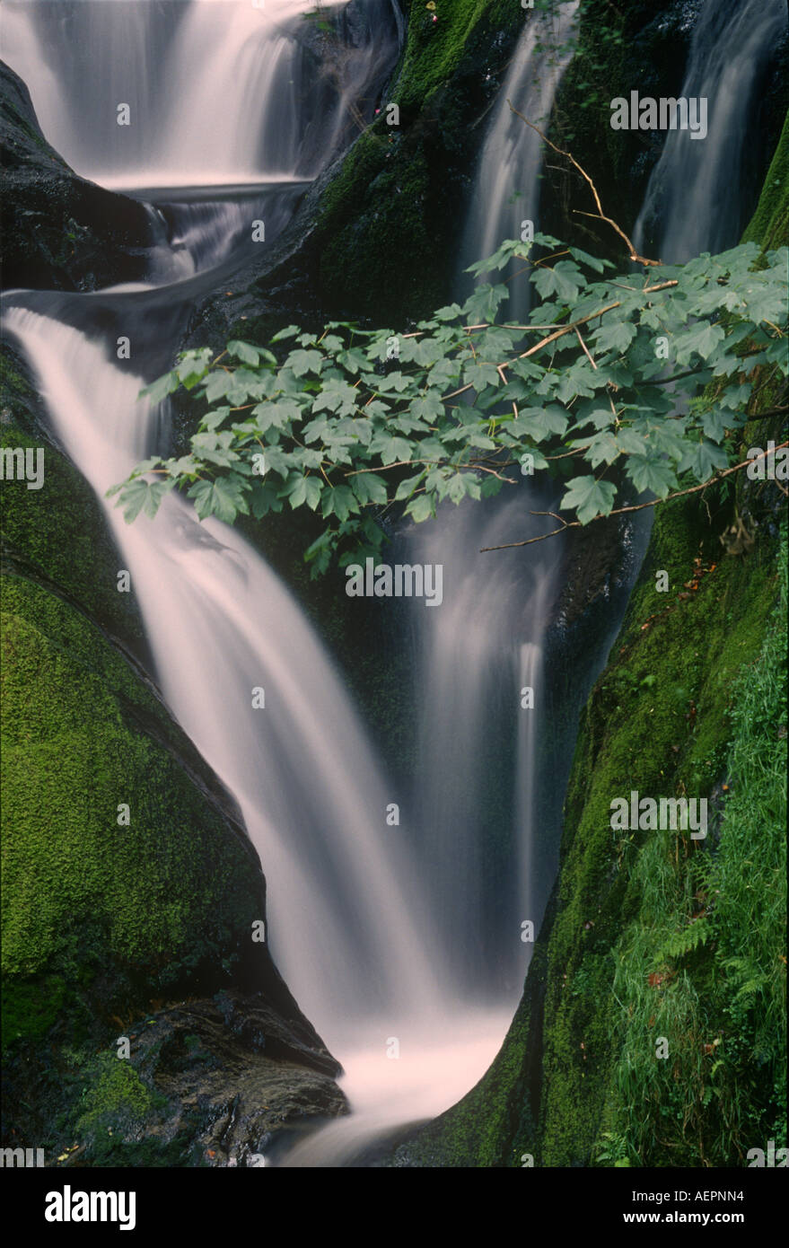 Dyfi furnace waterfall hi-res stock photography and images - Alamy
