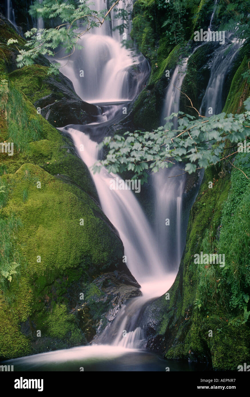 Dyfi Furnace Waterfall High Resolution Stock Photography and Images - Alamy