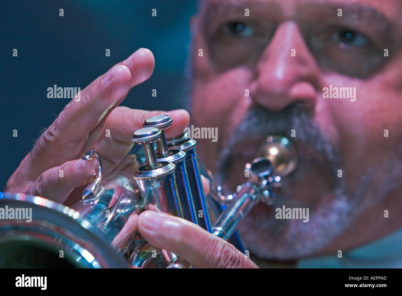 African man playing trumpet hi-res stock photography and images - Alamy