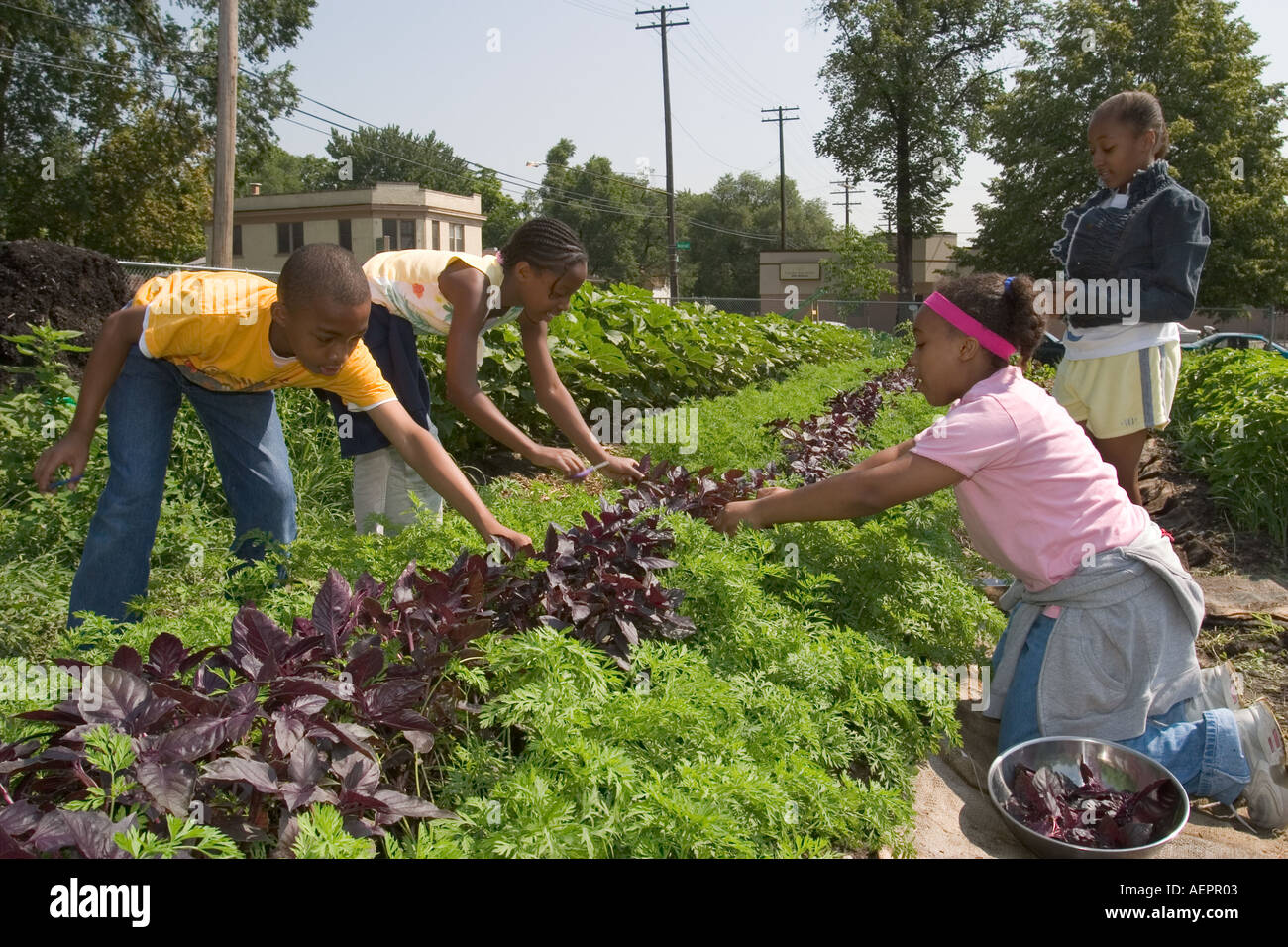 Child volunteer soup kitchen hi-res stock photography and images - Alamy