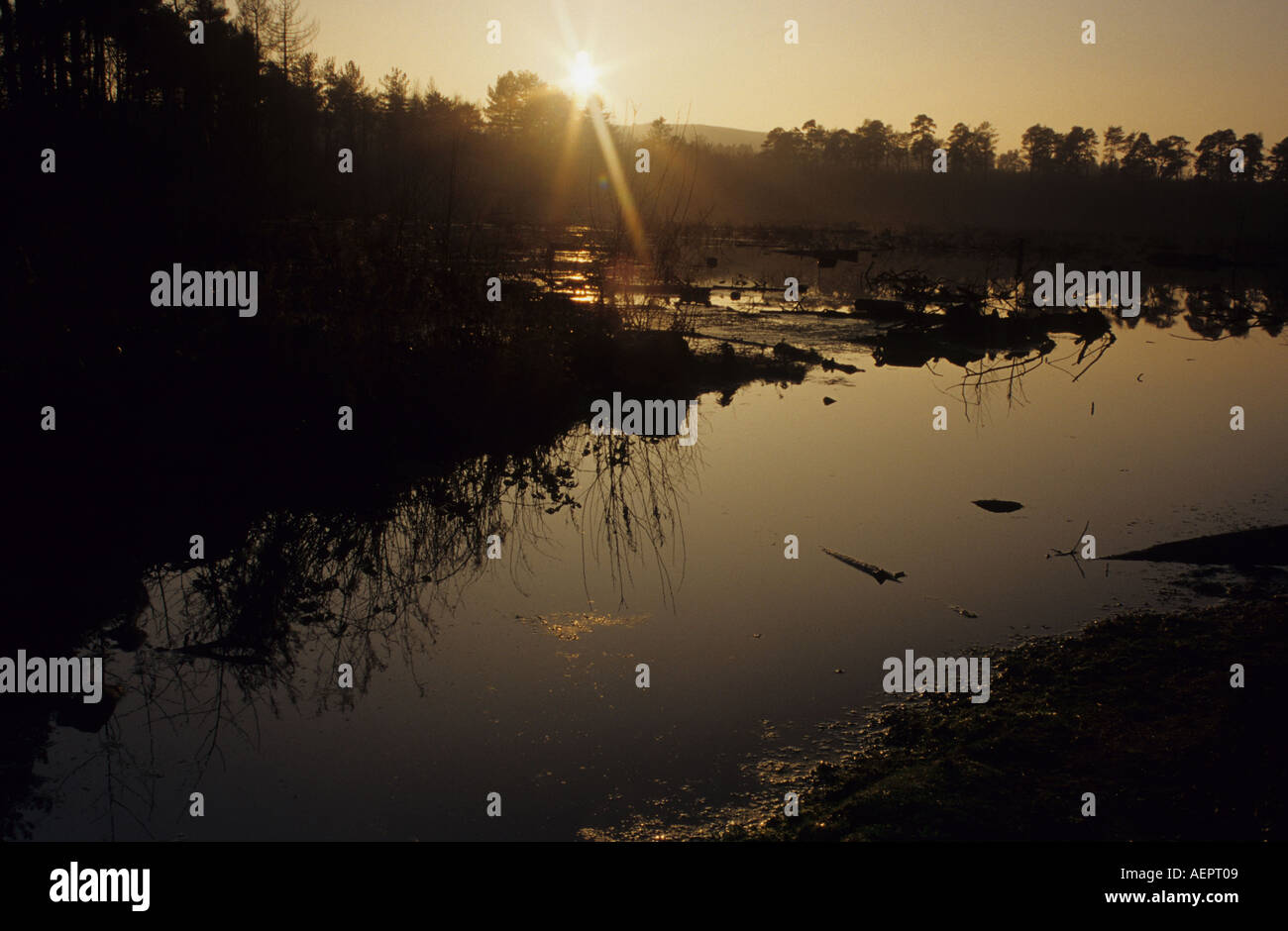 Blakemere hi-res stock photography and images - Alamy