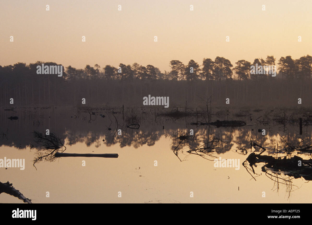 Blakemere hi-res stock photography and images - Alamy