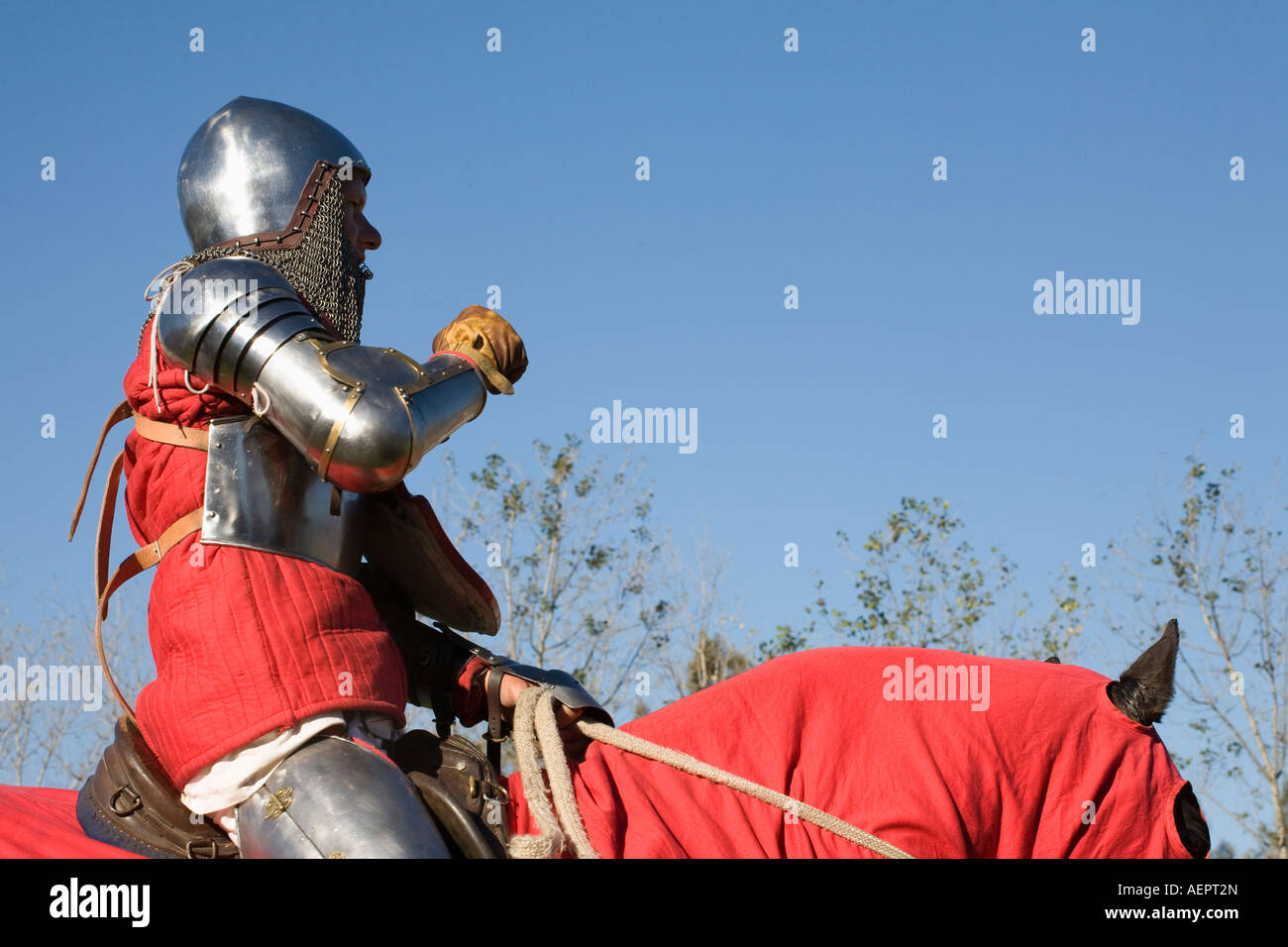 Medieval jouster in red costume armour and helmet on horseback, riding ...