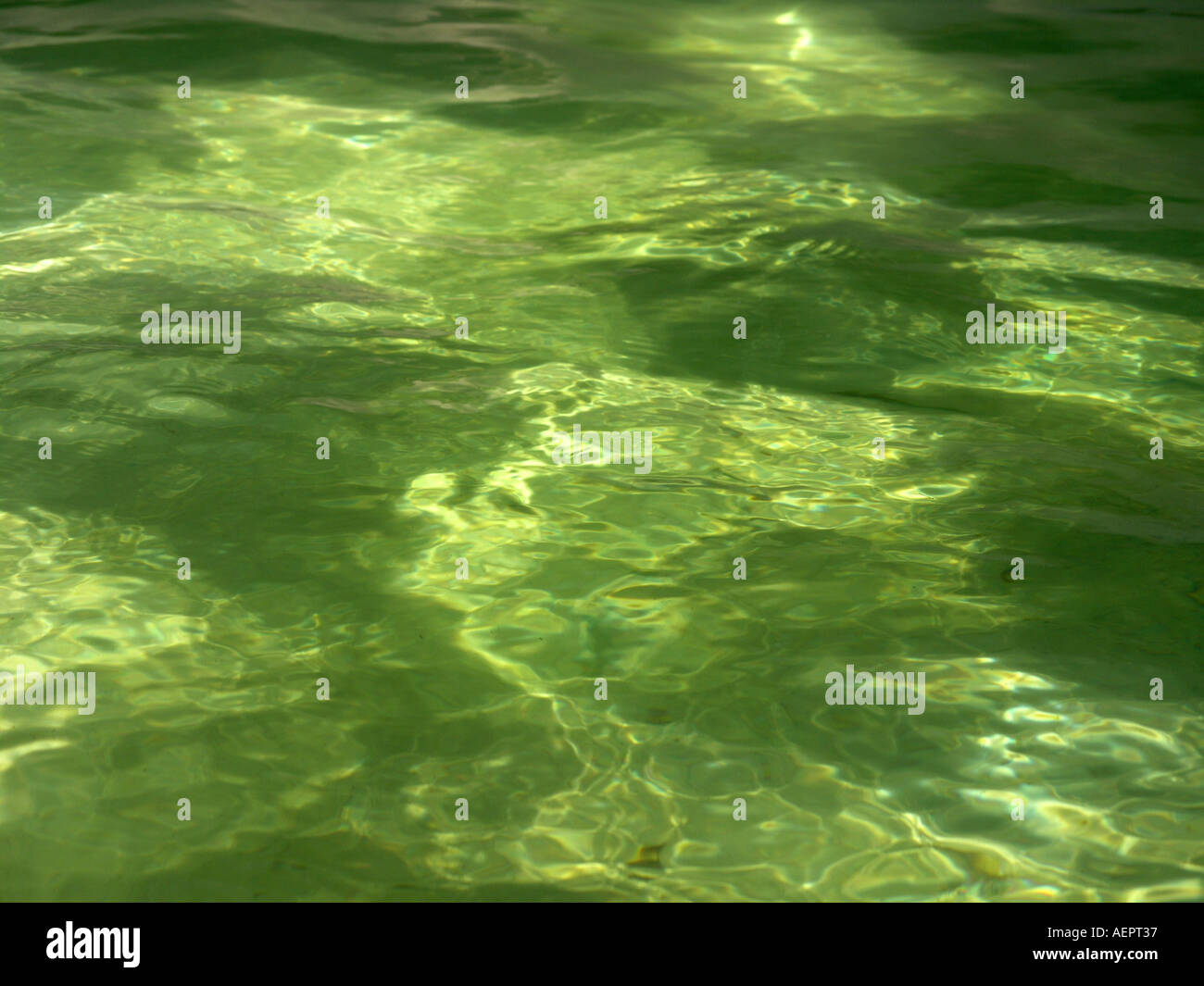 Light patterns in deep green water Stock Photo - Alamy