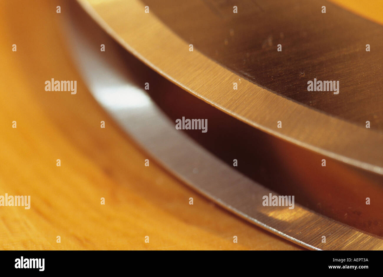 herb cutter close up Stock Photo - Alamy