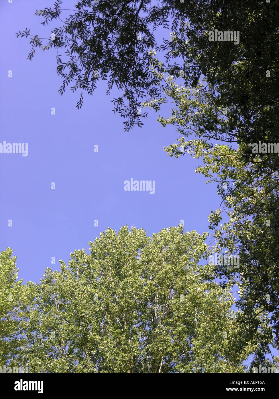 Canopy shaded hi-res stock photography and images - Alamy