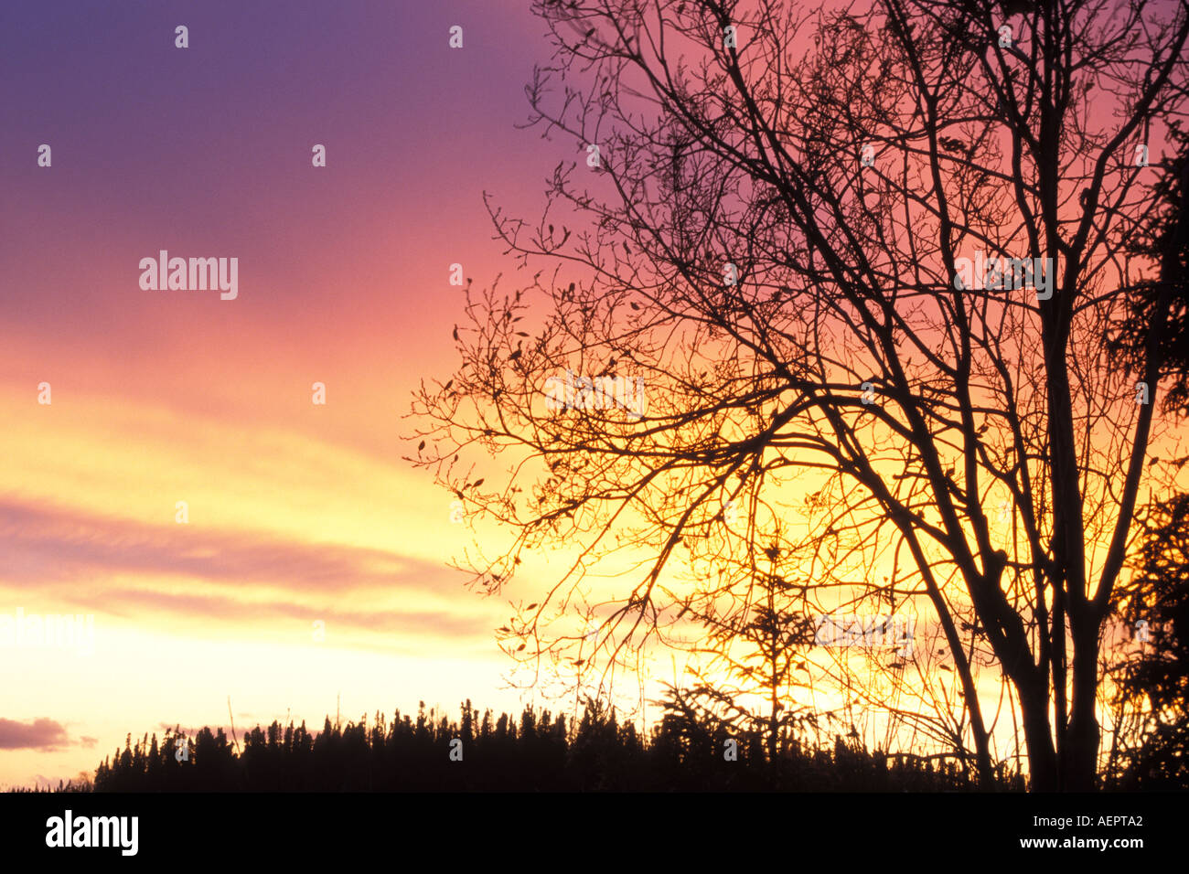Kenai peninsula silhouette hi-res stock photography and images - Alamy