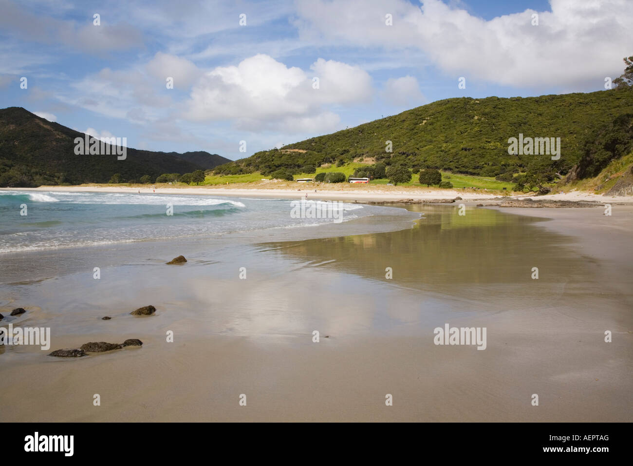 Tapotupotu Bay wet sandy beach with rolling waves on Pacific east coast ...