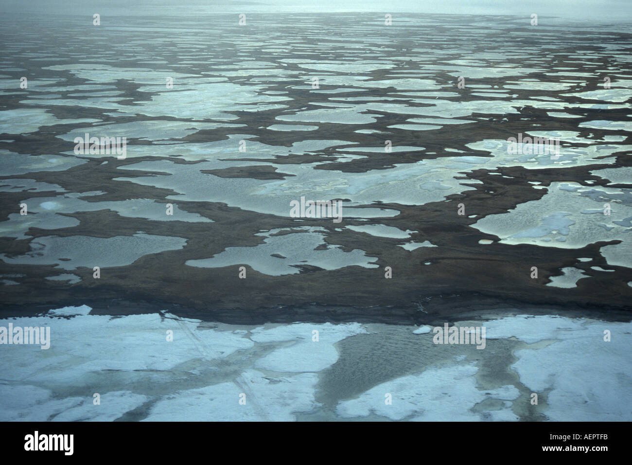 aerial view of breakup on the 1002 coastal plain North Slope of the ...
