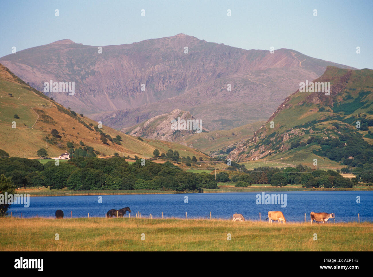 Llyn Nantle and Snowdon Snowdonia North West Wales Stock Photo - Alamy