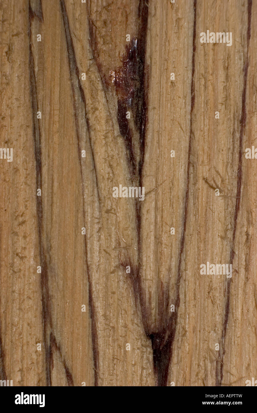 Engineered Structural Wood Stock Photo - Alamy