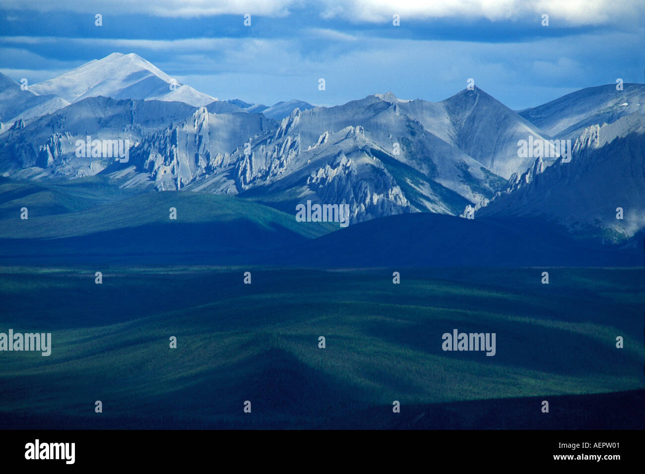 Brooks Range with black spruce trees in the Yukon Territory Canada ...