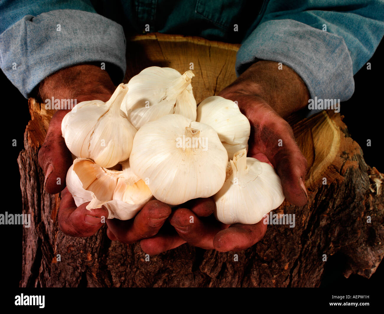 MAN HOLDING GARLIC Stock Photo - Alamy