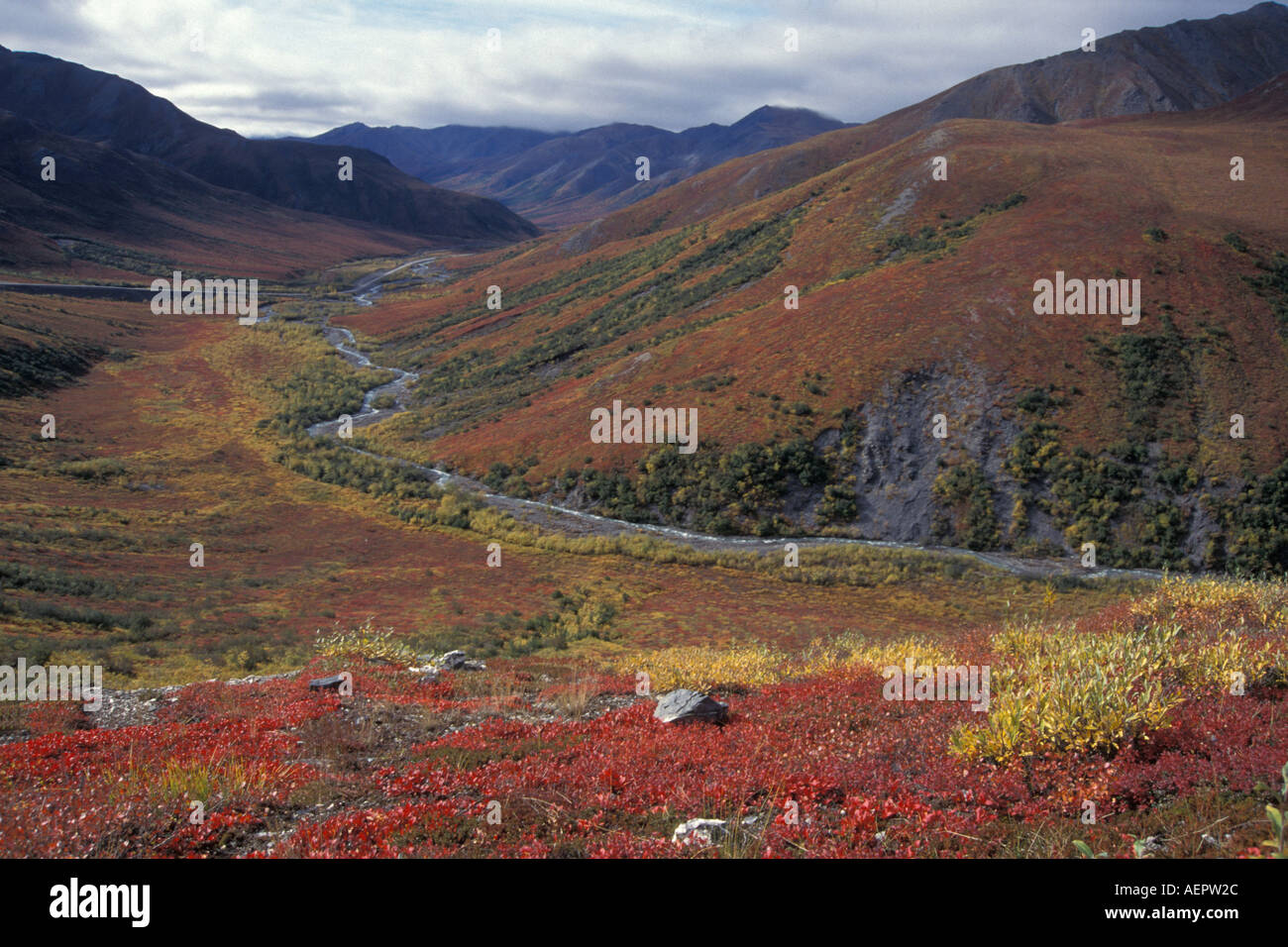 fall colors along the Dalton Highway Haul Road on the south side of the ...