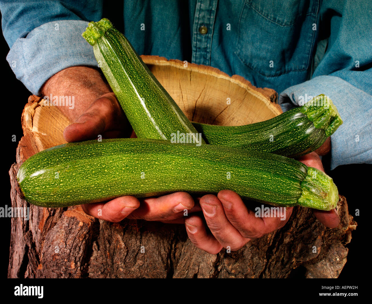 MAN HOLDING COURGETTES OR ZUCCHINI Stock Photo - Alamy