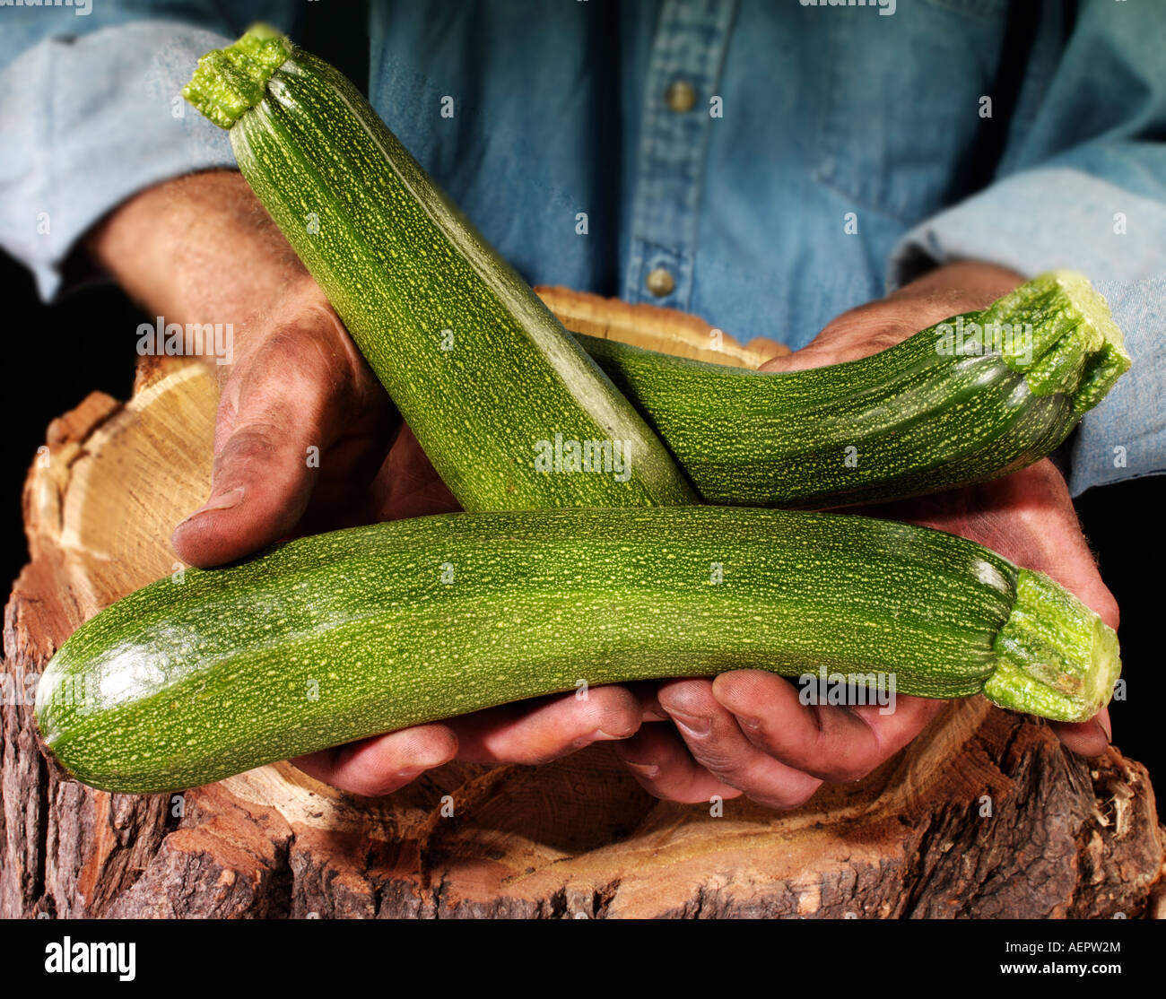 MAN HOLDING COURGETTES OR ZUCCHINI Stock Photo - Alamy