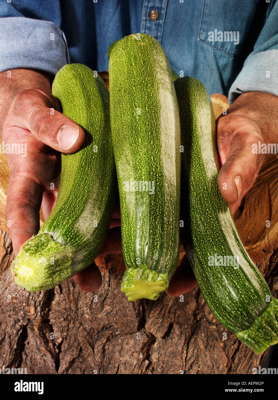 Courgette hand hi-res stock photography and images - Alamy