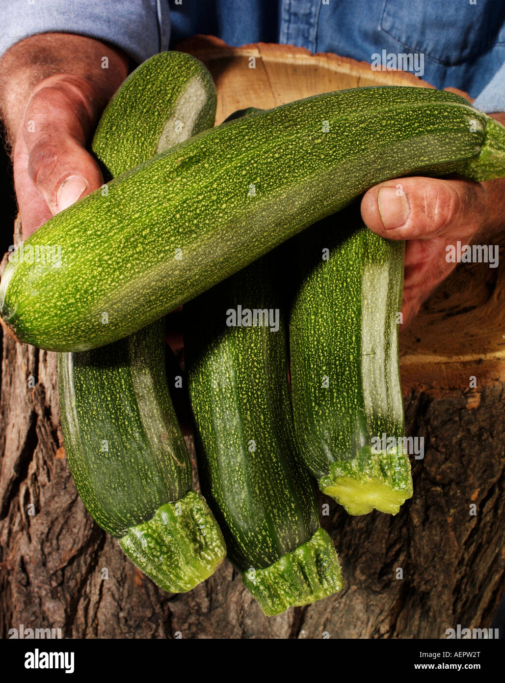 MAN HOLDING COURGETTES OR ZUCCHINI Stock Photo - Alamy