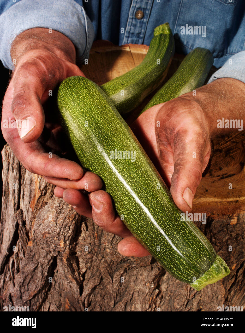 MAN HOLDING COURGETTES OR ZUCCHINI Stock Photo - Alamy