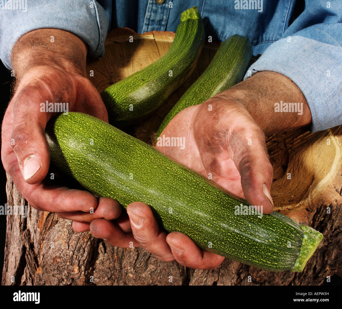 MAN HOLDING COURGETTE OR ZUCCHINI Stock Photo - Alamy