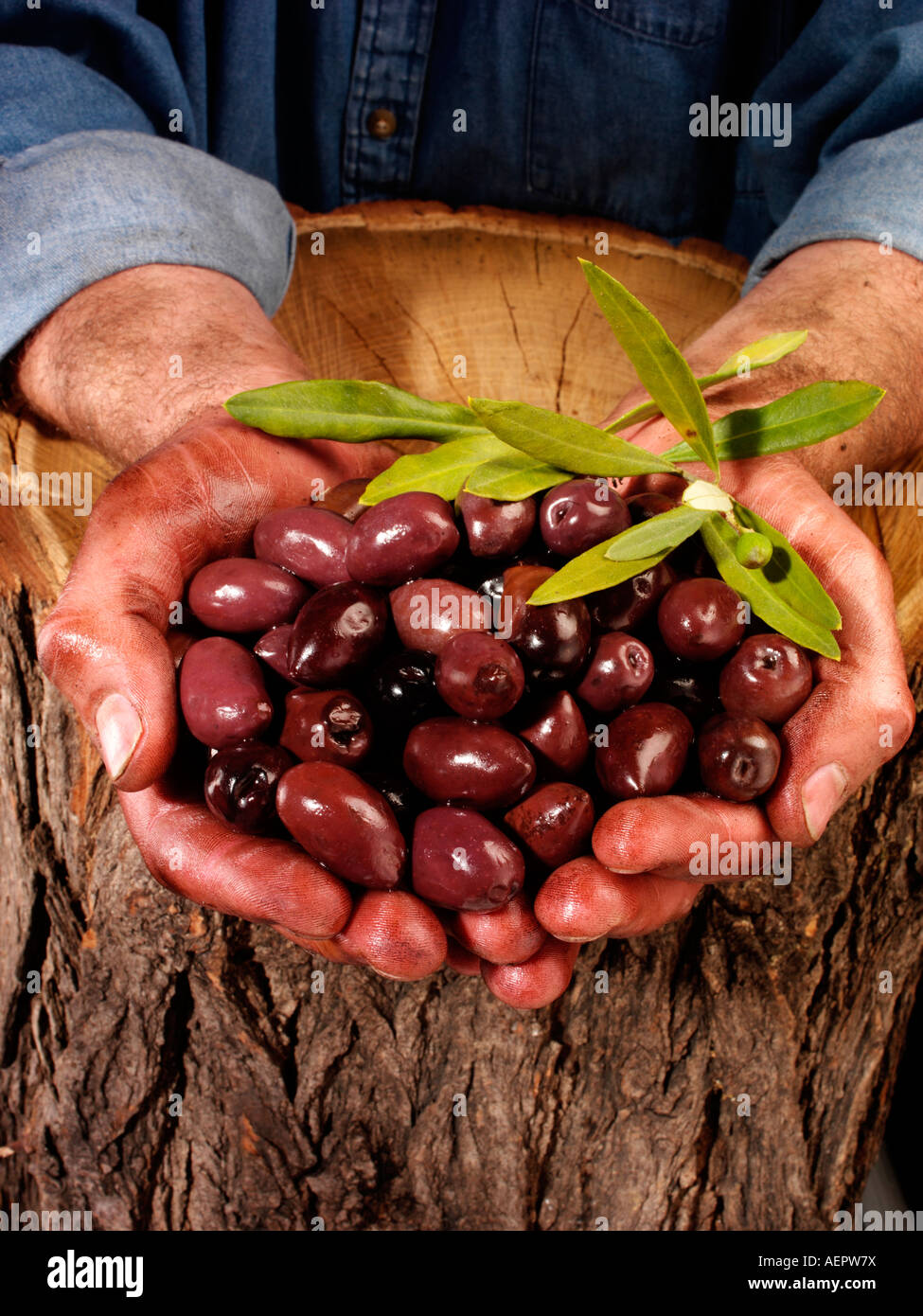 MAN HOLDING KALAMATA,CALAMATA OLIVES Stock Photo - Alamy