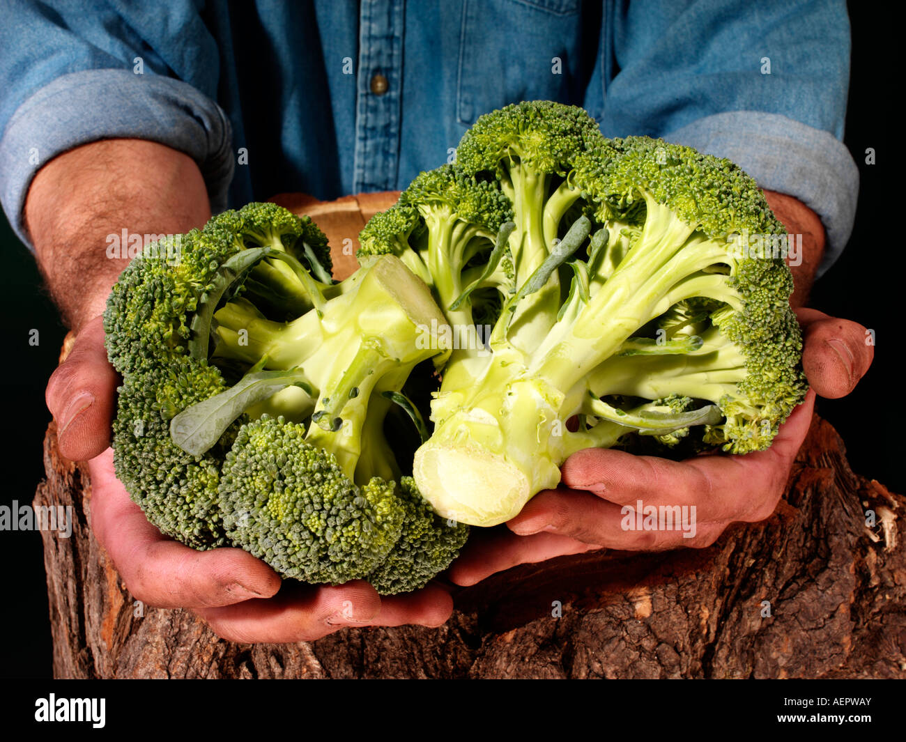 FARMER MAN HOLDING BROCCOLI Stock Photo - Alamy