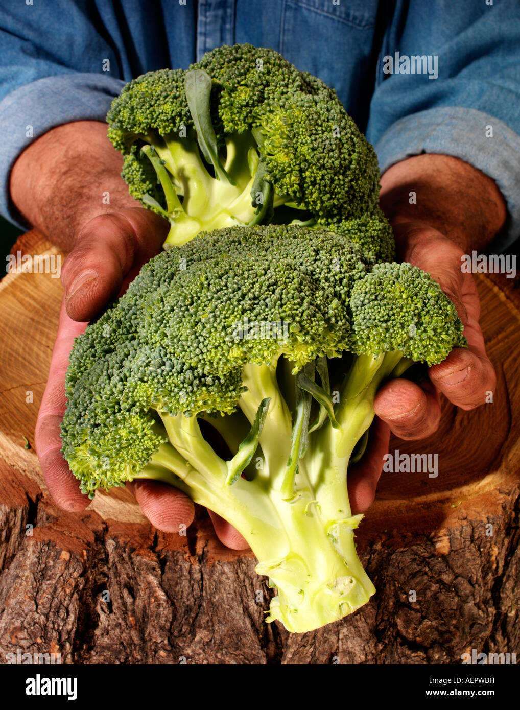 FARMER MAN HOLDING BROCCOLI Stock Photo - Alamy