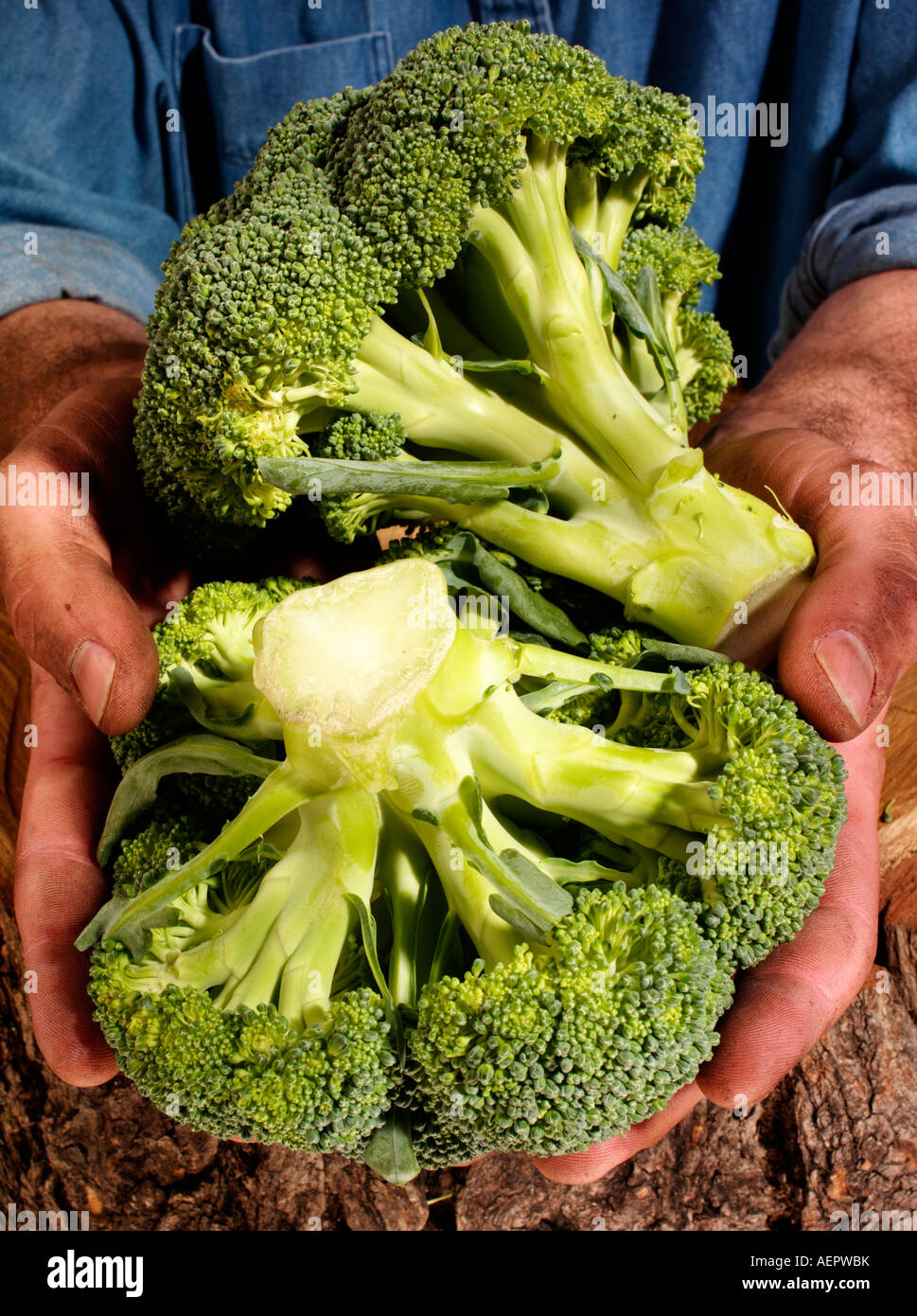 FARMER MAN HOLDING BROCCOLI Stock Photo - Alamy