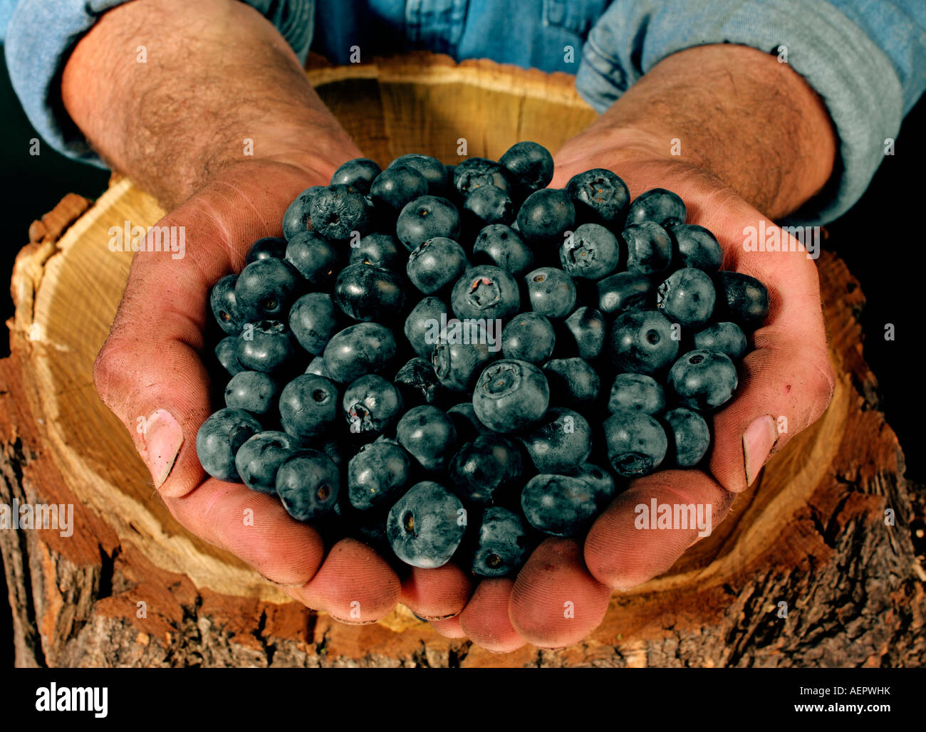 FARMER MAN HOLDING BLUEBERRIES Stock Photo - Alamy