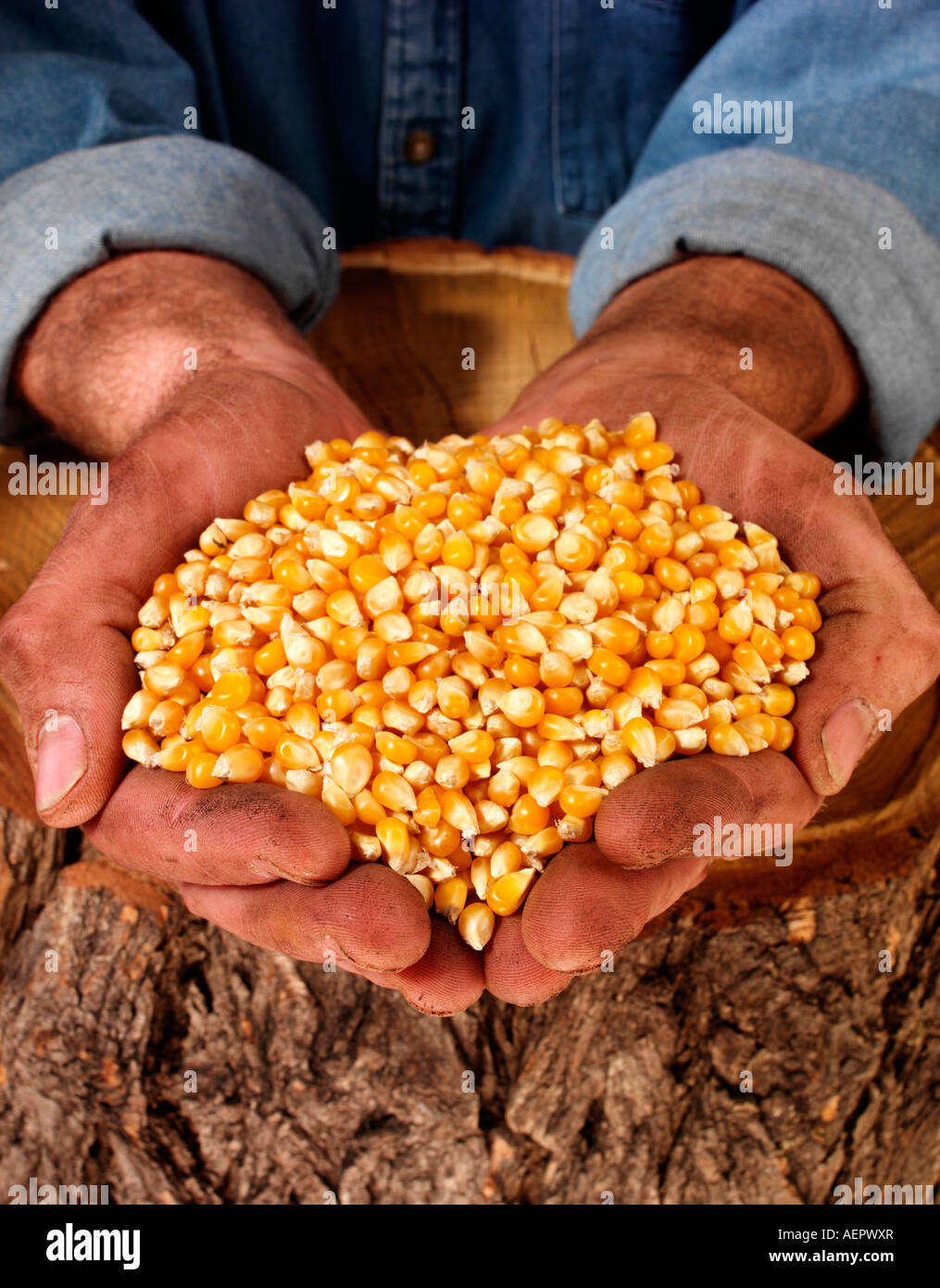 MAN HOLDING POPPING CORN Stock Photo - Alamy