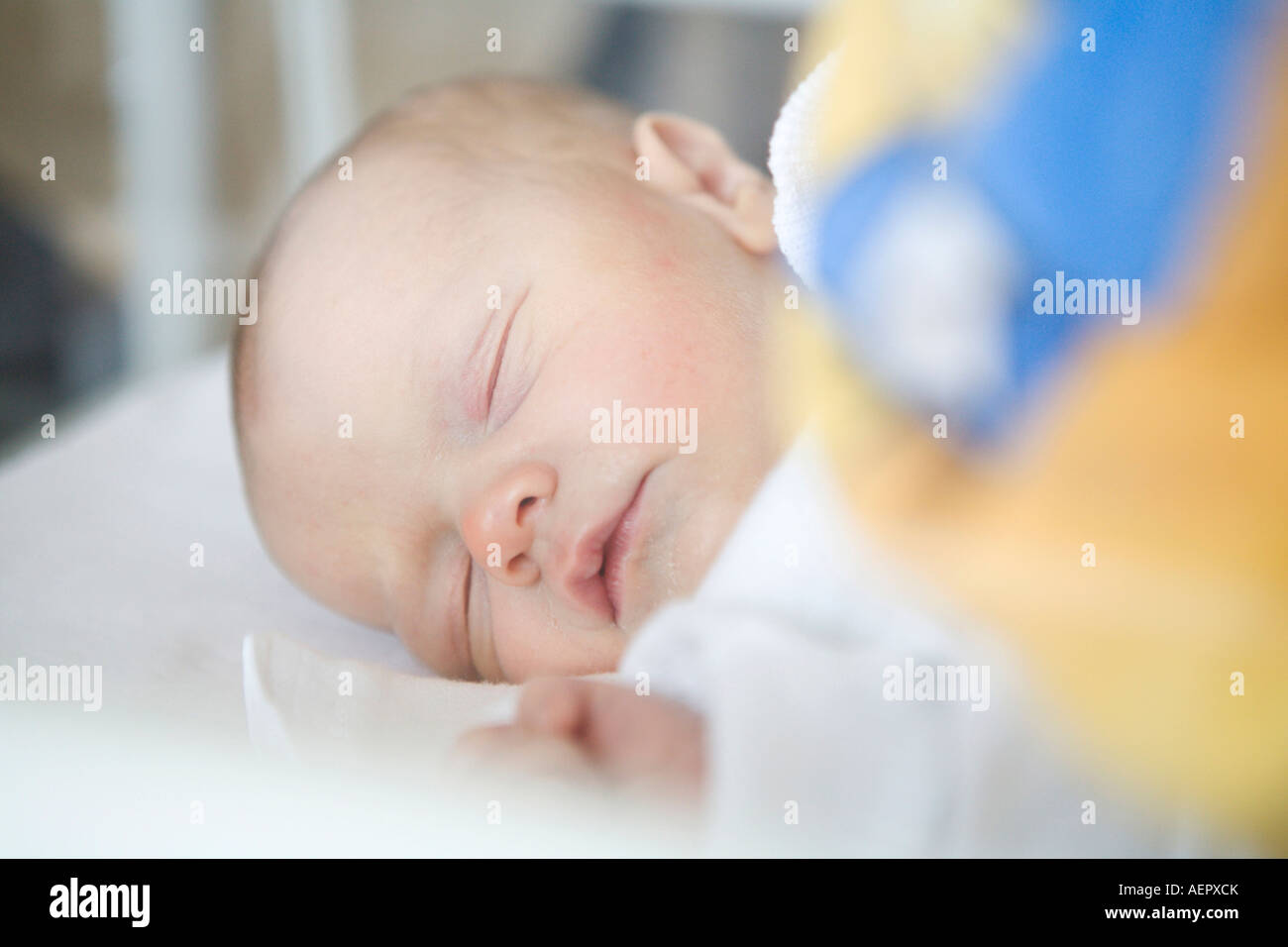 infant one day old Stock Photo - Alamy