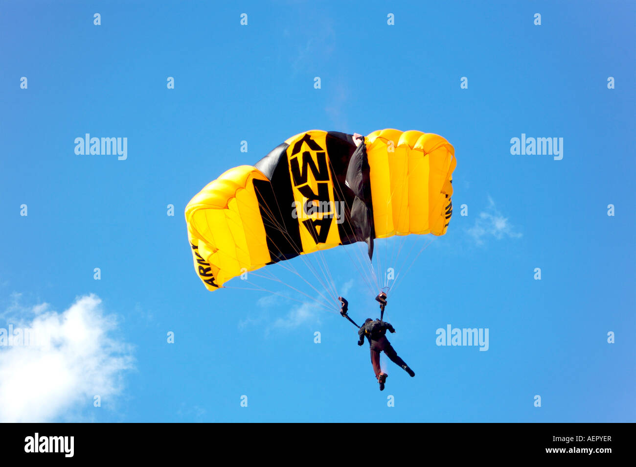 US Army Parachute Team the Golden Knights Stock Photo - Alamy