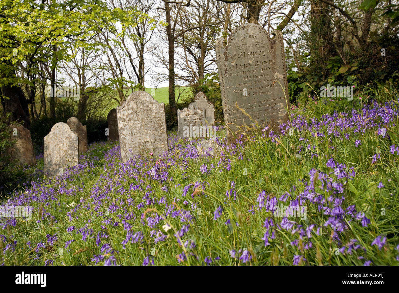 UK Cornwall Boscastle Lesnewth St Michael and all angels churchyard ...