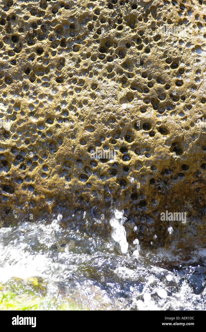wet sea rocks Stock Photo - Alamy