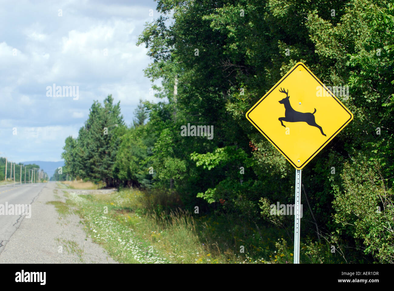 Deer Crossing Sign Canada